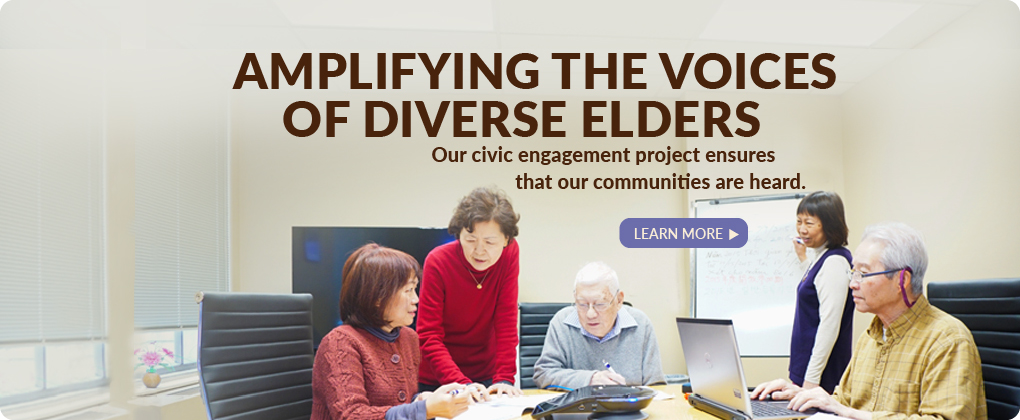 Diverse Elders Coalition | Advocating for elders of color, American ...